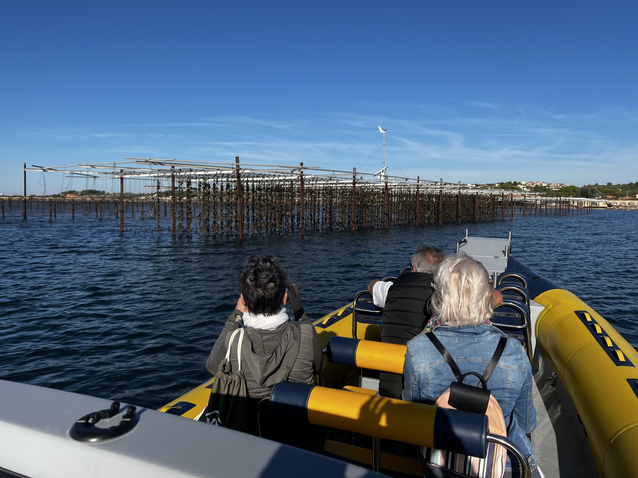 Balade sur l'étang de Thau avec escale gourmande chez Tabouriech - Cap ...